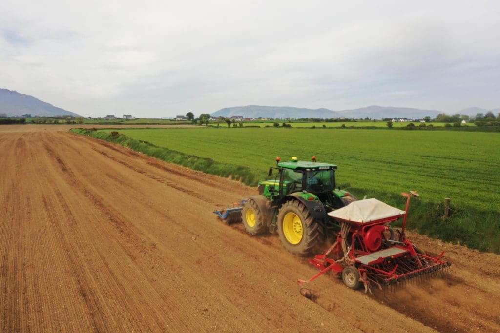 Largest ever hemp crop planted in Ireland - Shelflife Magazine