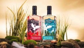 Brand Central: Shelflife.ie, Retail News